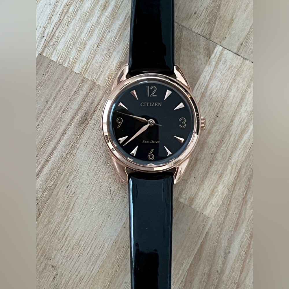 Citizen Eco-Drive Weekender Ladies Watch Black Dial L… - Gem